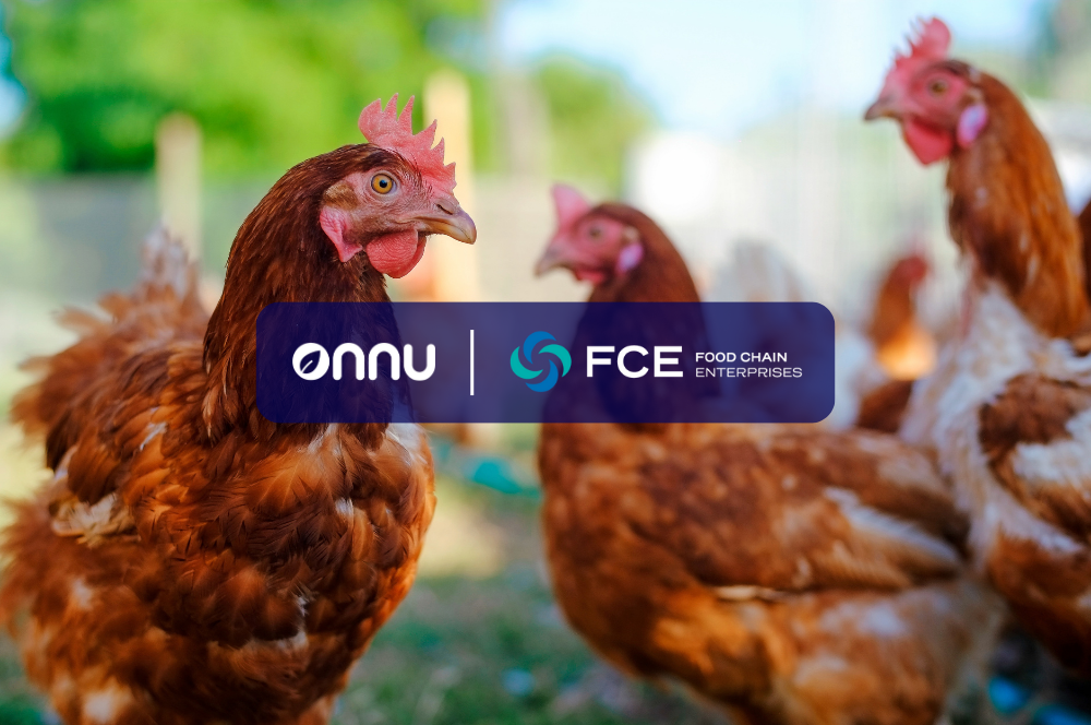 Choosing a carbon registry: 8 reasons why we went with Puro.earth | Onnu